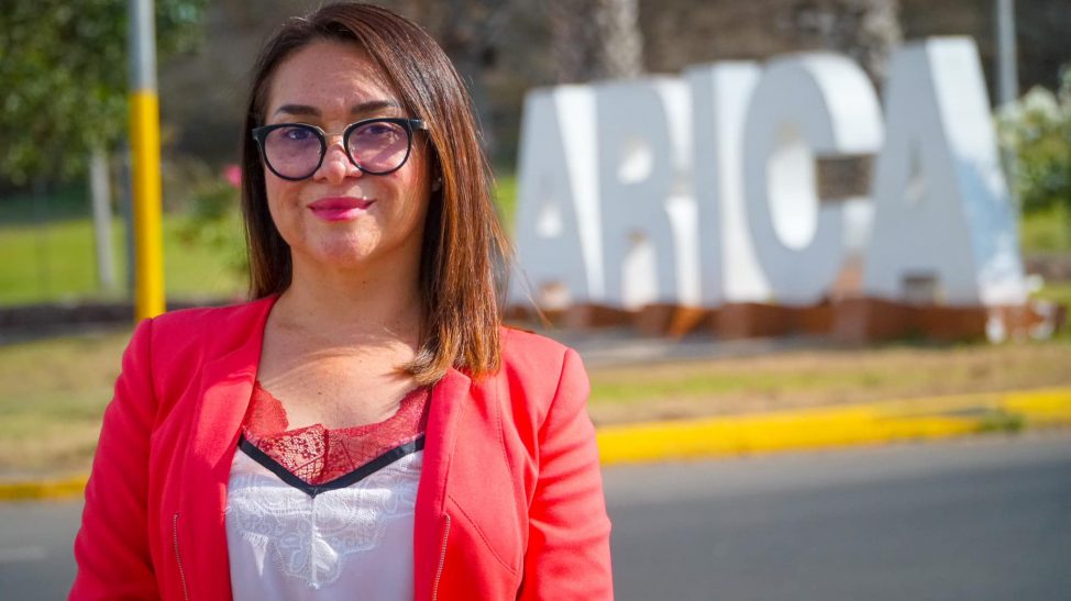 Estos son los 51 integrantes del Consejo Constitucional