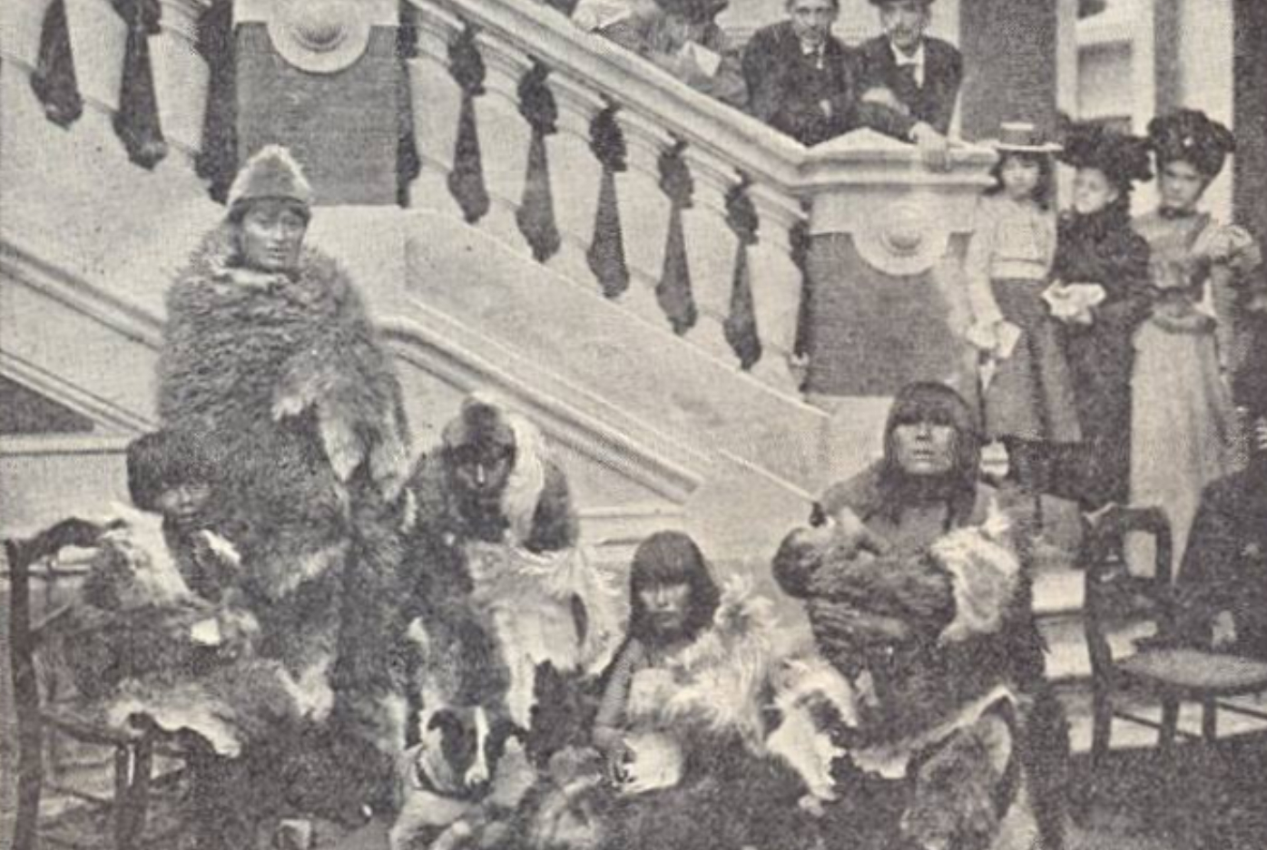 Selk’nam acusan a Jackson de entorpecer ley que los reconoce como ...