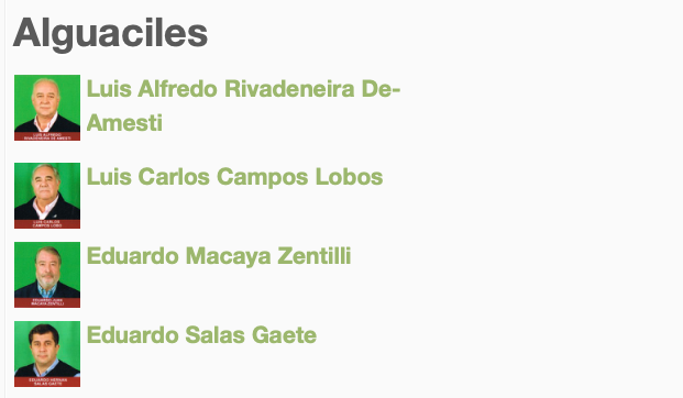 La caída de la web de los alguaciles de San Fernando tras la detención ...