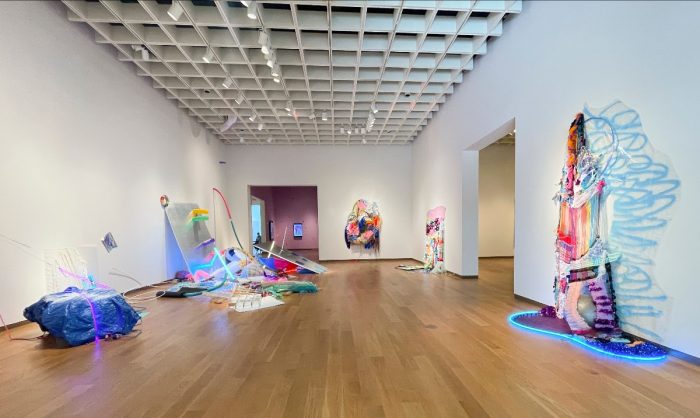 Artista visual chilena recibe reconocimiento en Estados Unidos