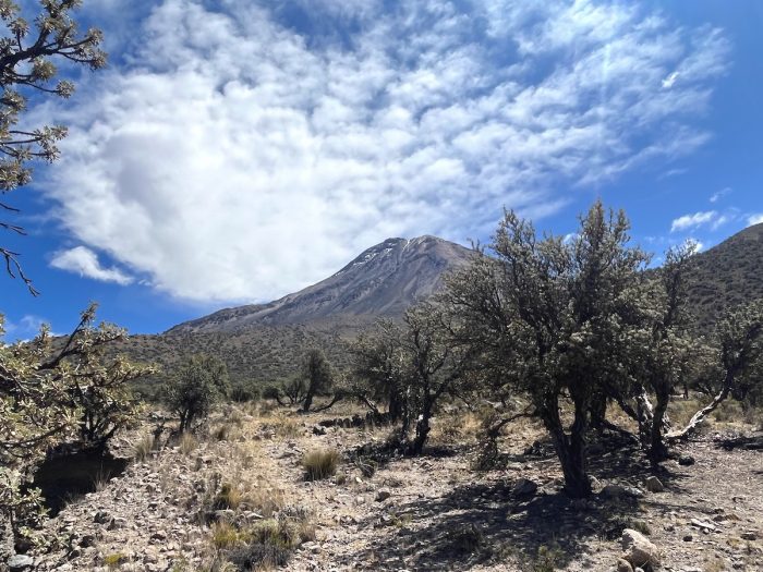 Descubriendo Tacna: imponentes paisajes, géiseres, sabrosa gastronomía ...