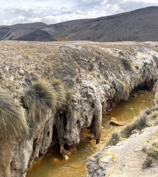 Descubriendo Tacna: imponentes paisajes, géiseres, sabrosa gastronomía ...