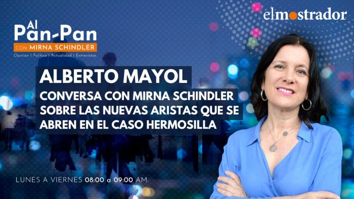 Al Pan Pan: Alberto Mayol y Héctor Cossio sobre caso Hermosilla y ...
