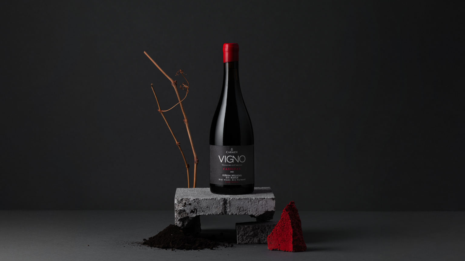 Viña rescata la tradición del Maule con su nuevo VIGNO