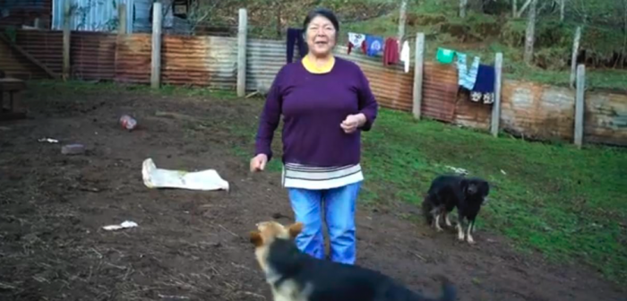 El enigmático caso de Julia Chuñil, a casi un año de su desaparición