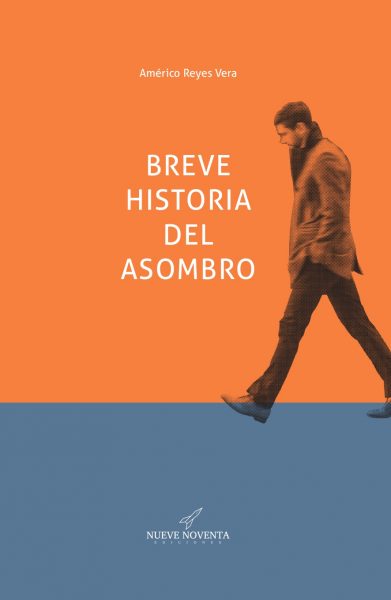 Apuntes sobre “Breve historia del asombro” de Américo Reyes