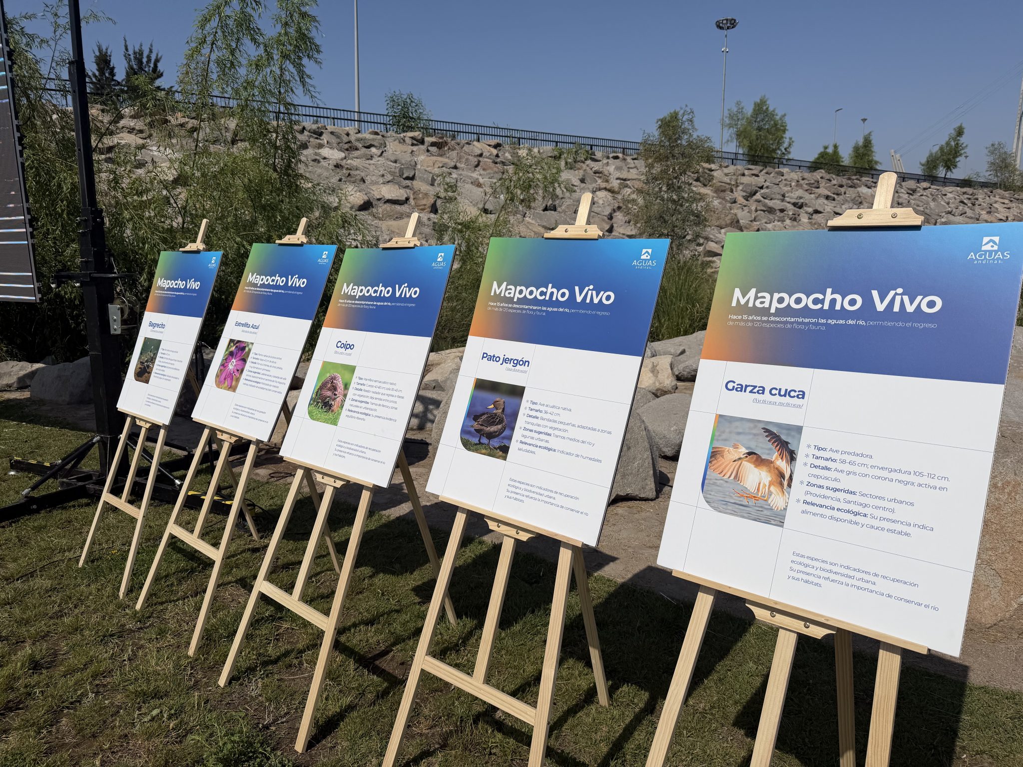 Santiago conmemora 15 años del saneamiento del río Mapocho: el hito que transformó la ciudad